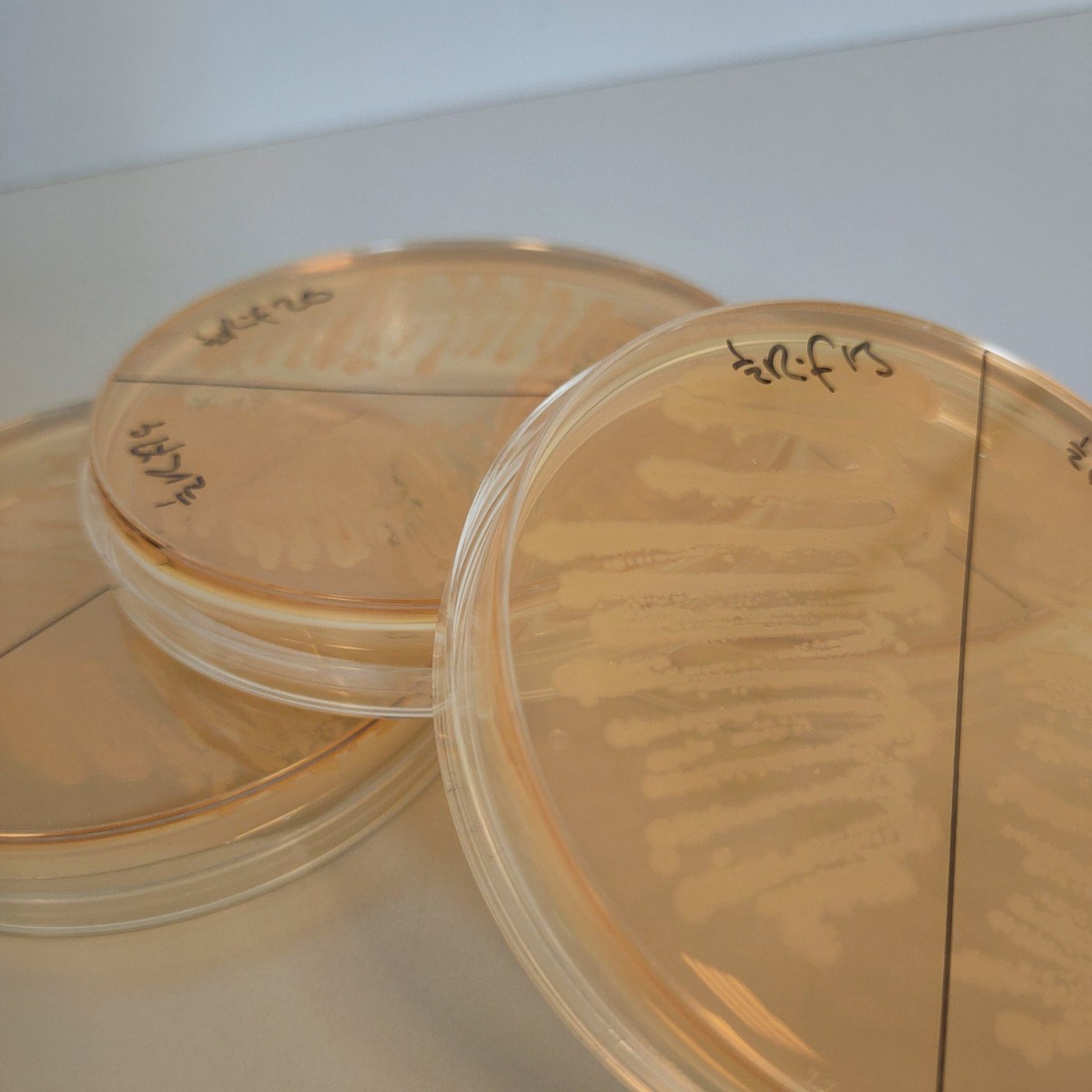 Jack Duxbury Barber | The University of Aberdeen