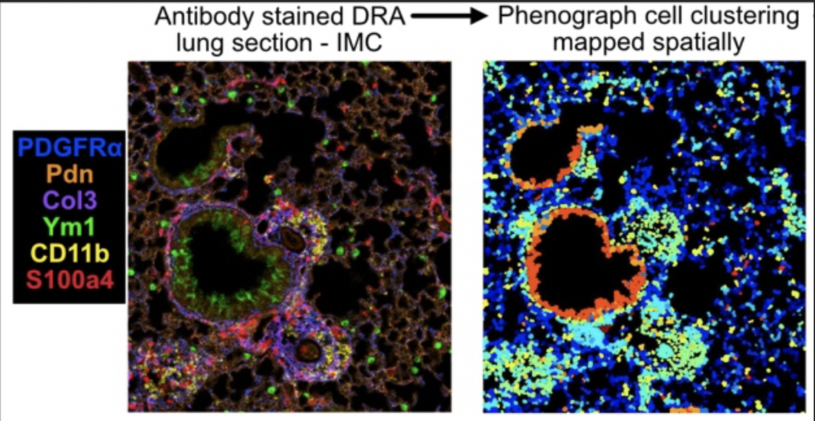 Dr Tara Sutherland | The University of Aberdeen