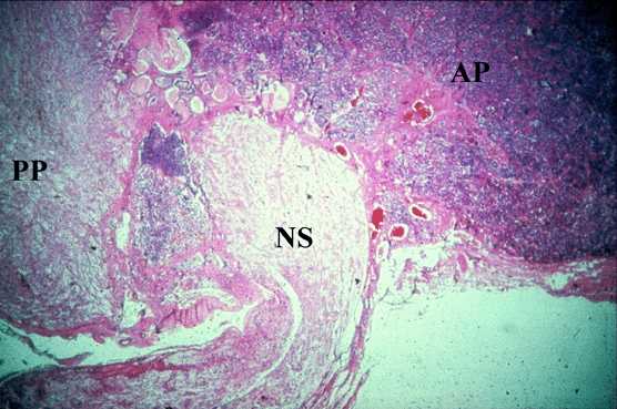 a-short-review-of-histology
