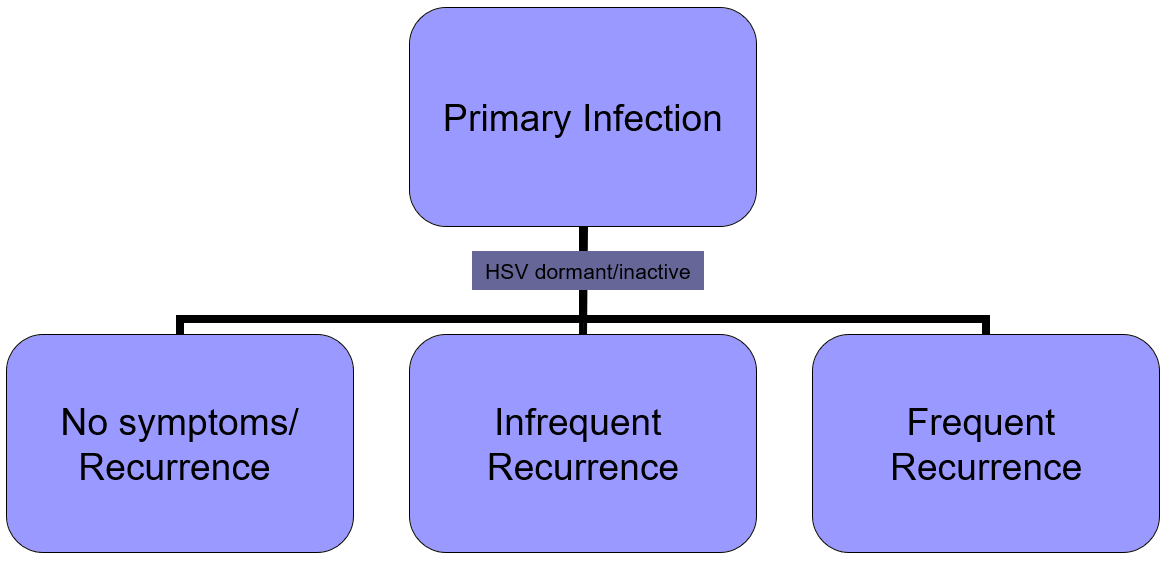 Acute Vulval Pain