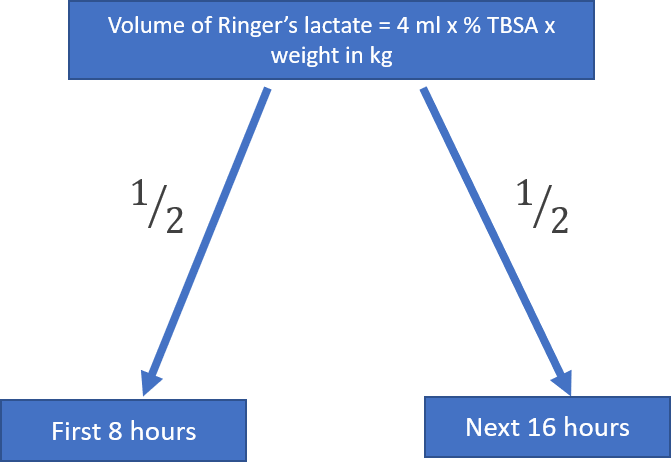 Approach to Burns Resuscitation