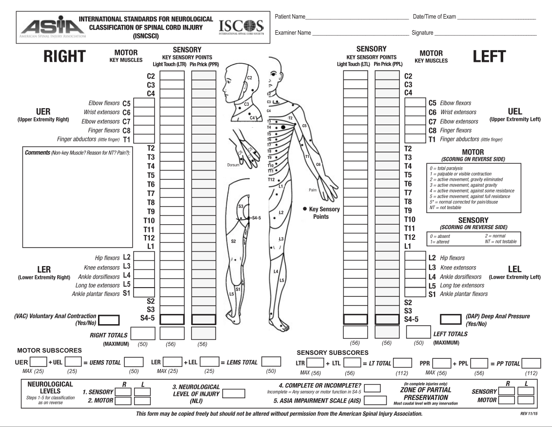 Back Pain 3