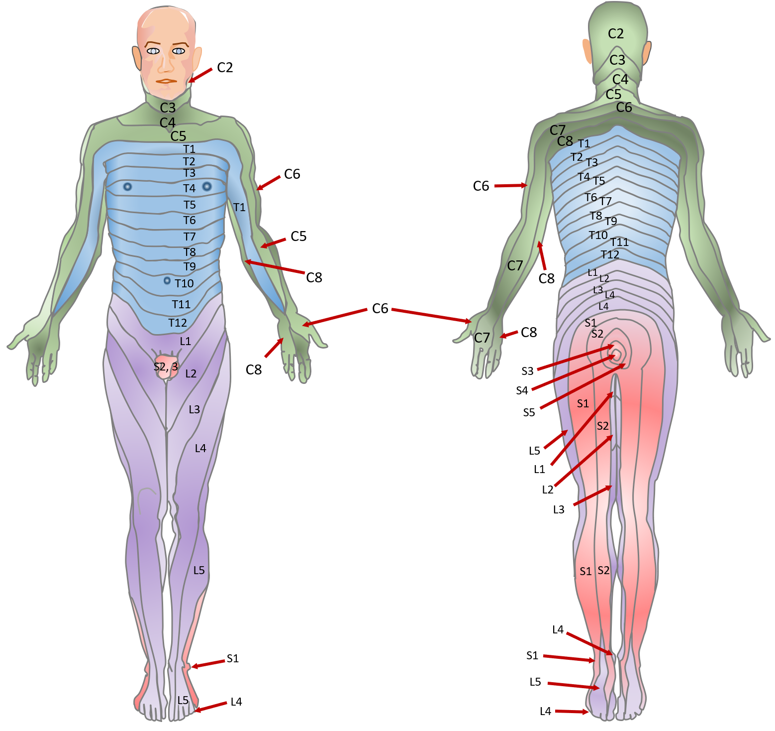 Excruciating Lower Back Pain