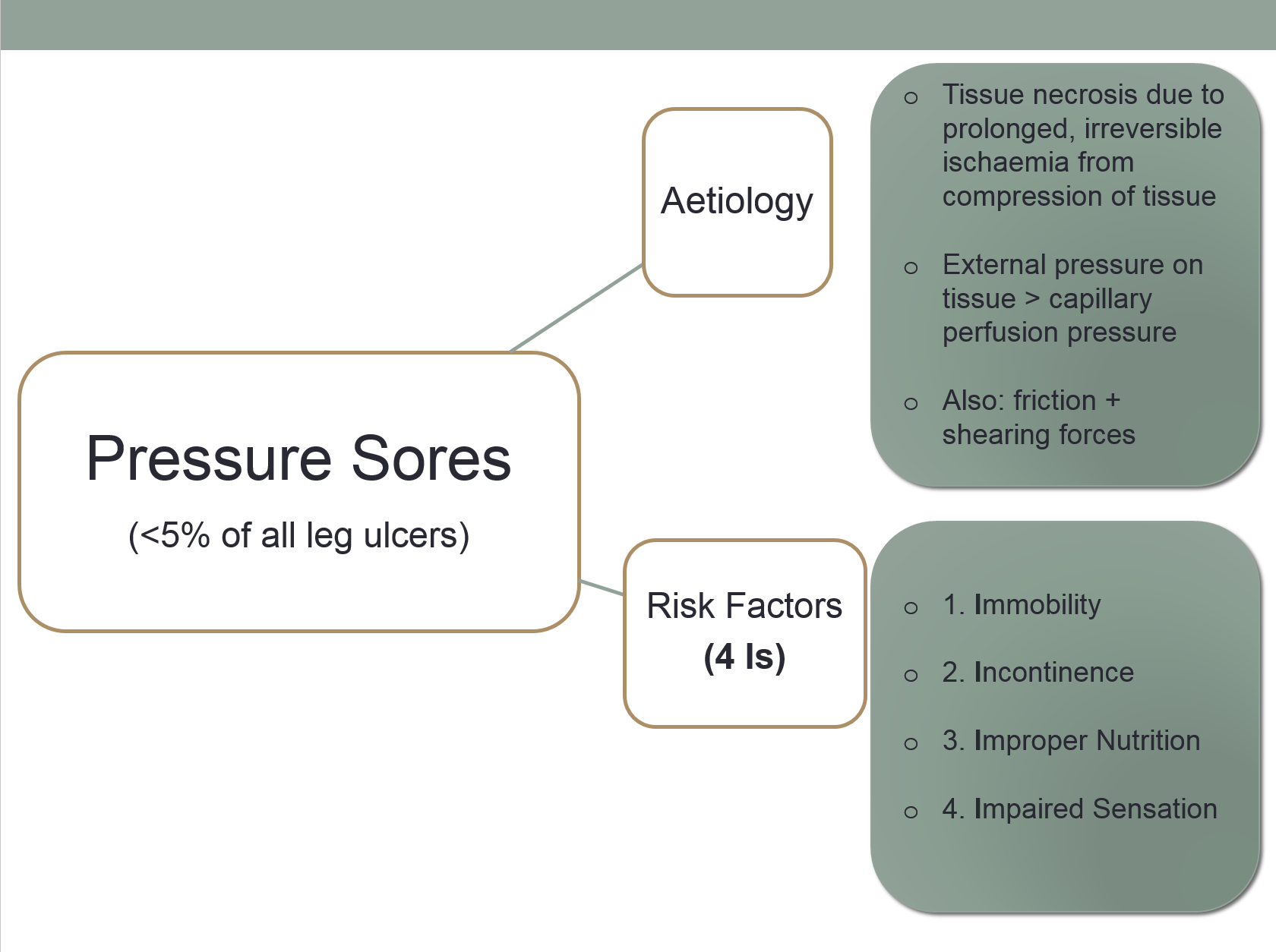 Leg Ulcers and Pressure Sores 3