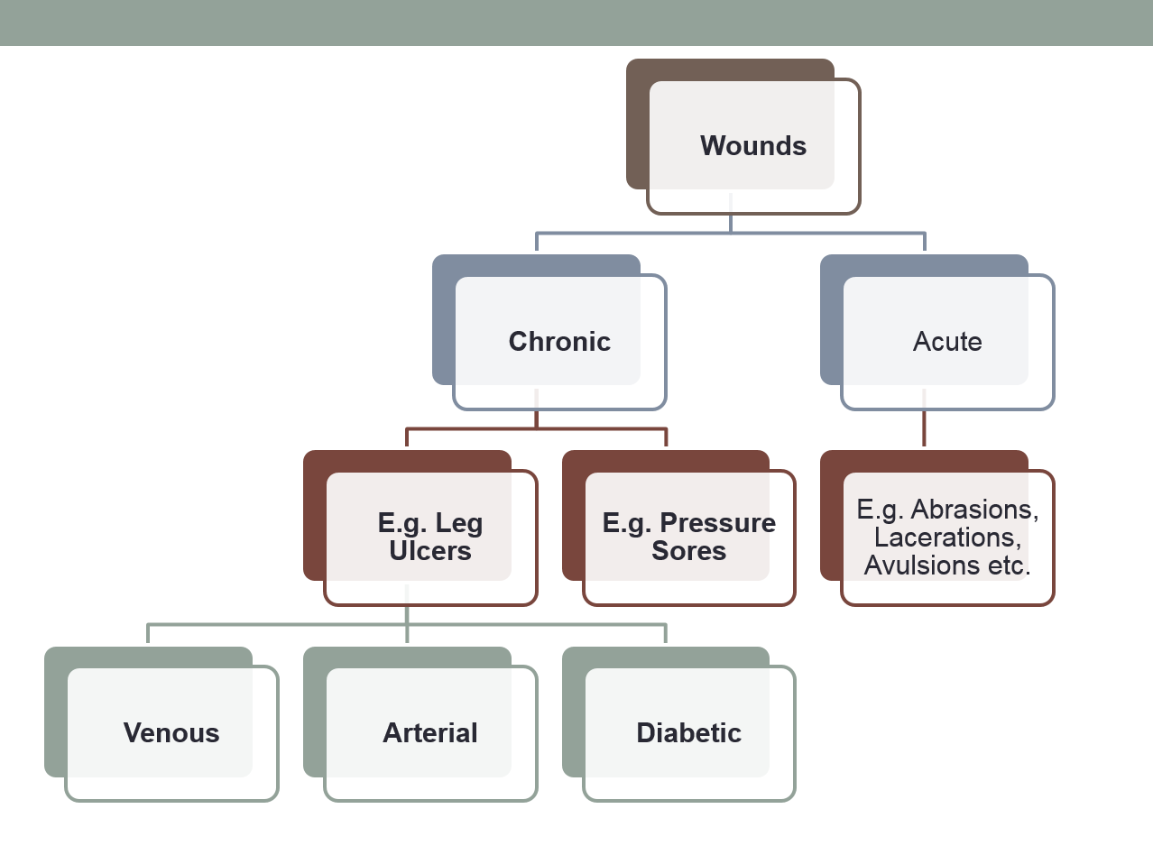 Leg Ulcers and Pressure Sores 3
