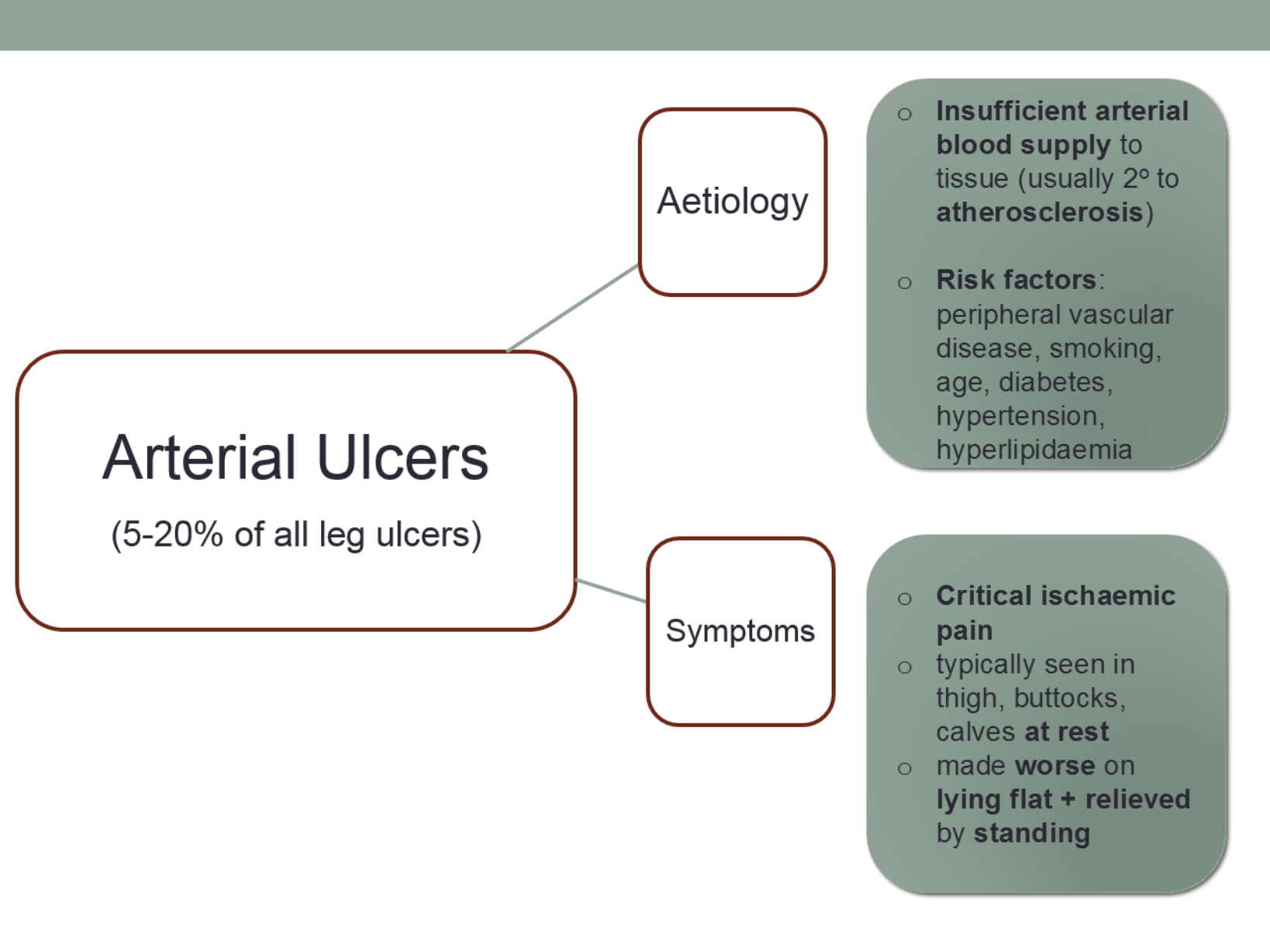 Leg Ulcers and Pressure Sores 3