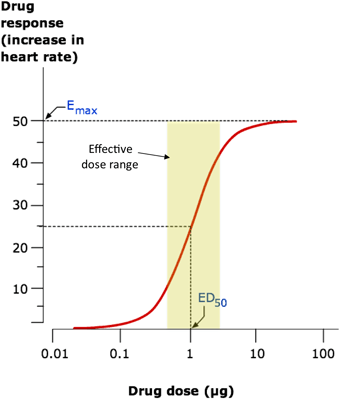 Pharmacodynamics III