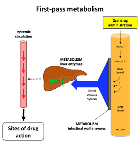 Pharmacokinetics IV