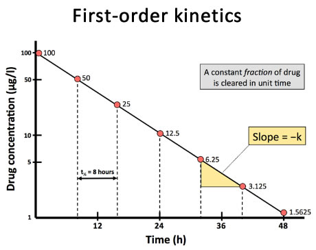 Pharmacokinetics V