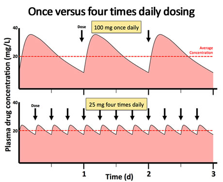 Pharmacokinetics VI