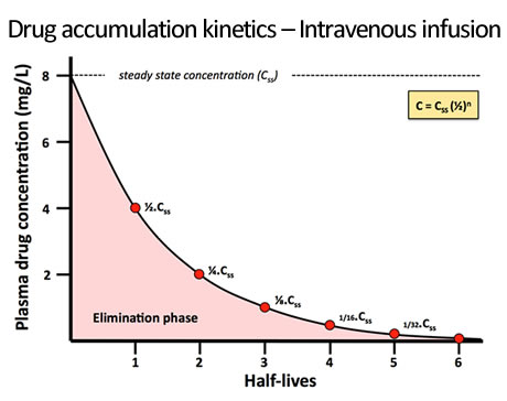 Pharmacokinetics VI