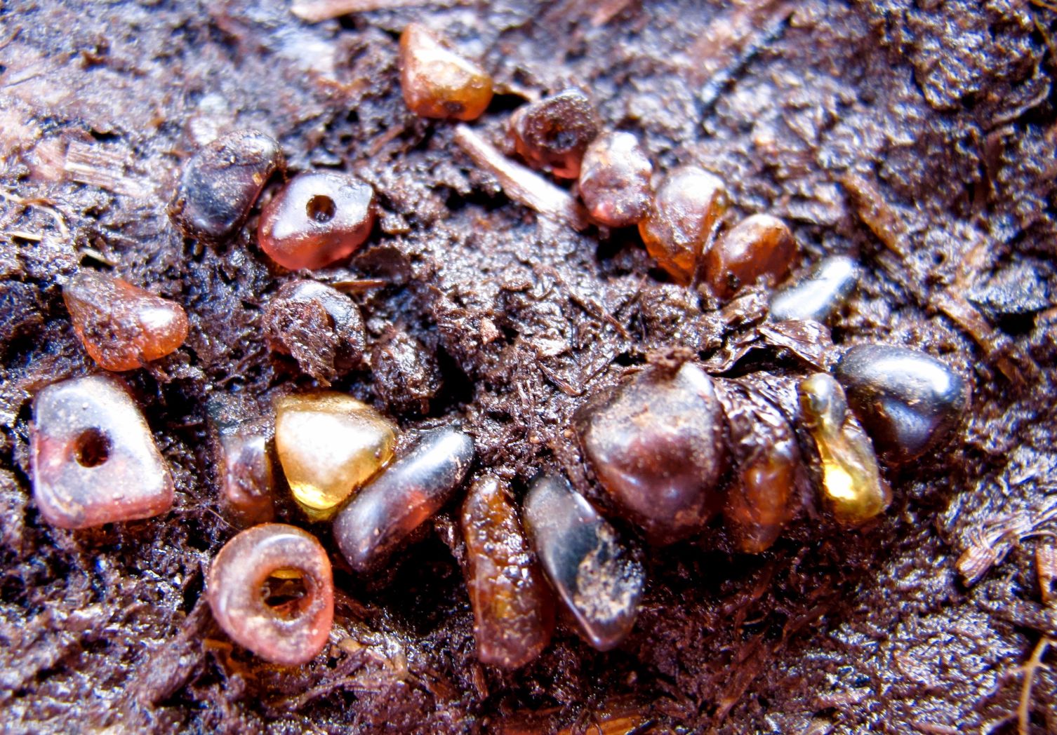 Uncovering ancient Indigenous Alaskan settlements with archaeological ...