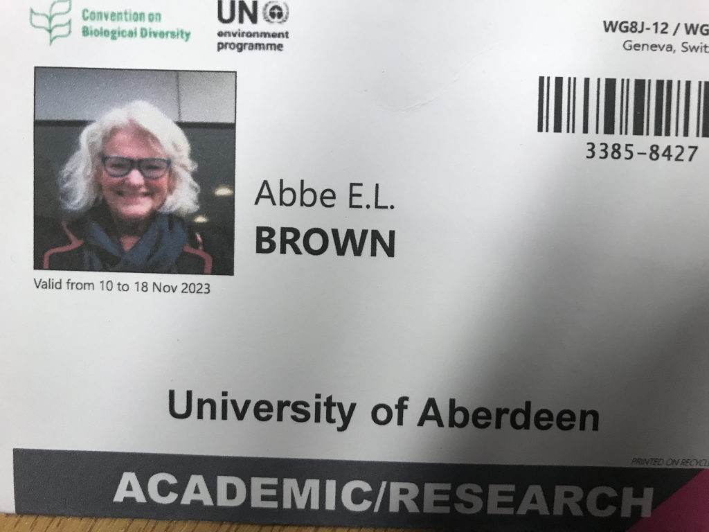 Prof Abbe Brown Building Bridges between Science and Law in the UN ...