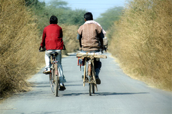 Scientists discover why we never forget how to ride a bicycle | News ...