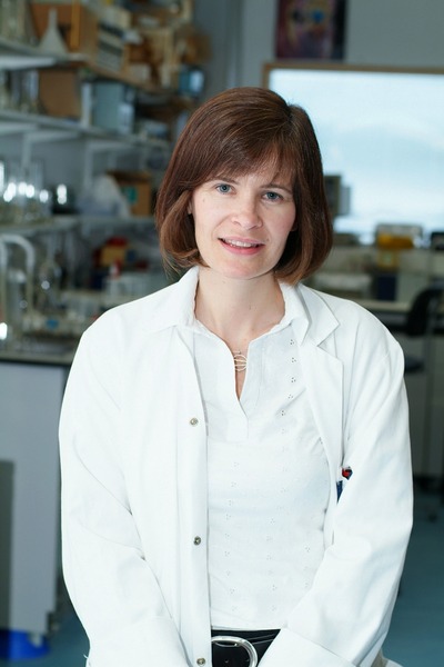 Bone research breakthrough | News | The University of Aberdeen