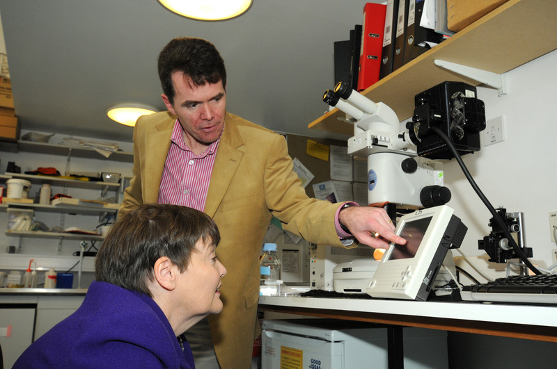 MP and scientist learn about each other’s job | News | The University ...