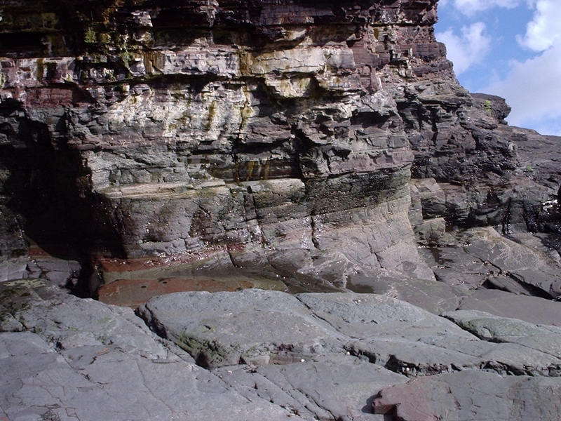 Scottish rocks reveal key point in evolution occurred 400 million years ...