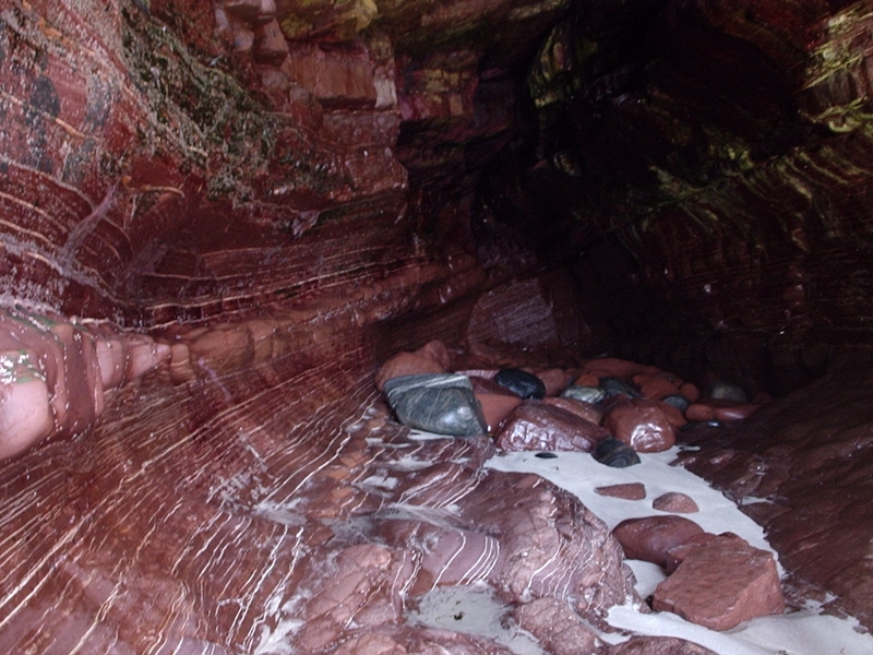 Scottish rocks reveal key point in evolution occurred 400 million years ...