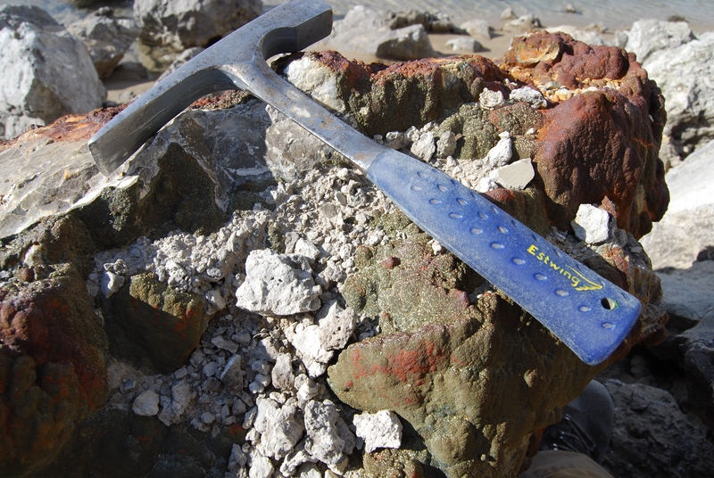 Ancient microbe reveals clues to early life on Earth | News | The ...