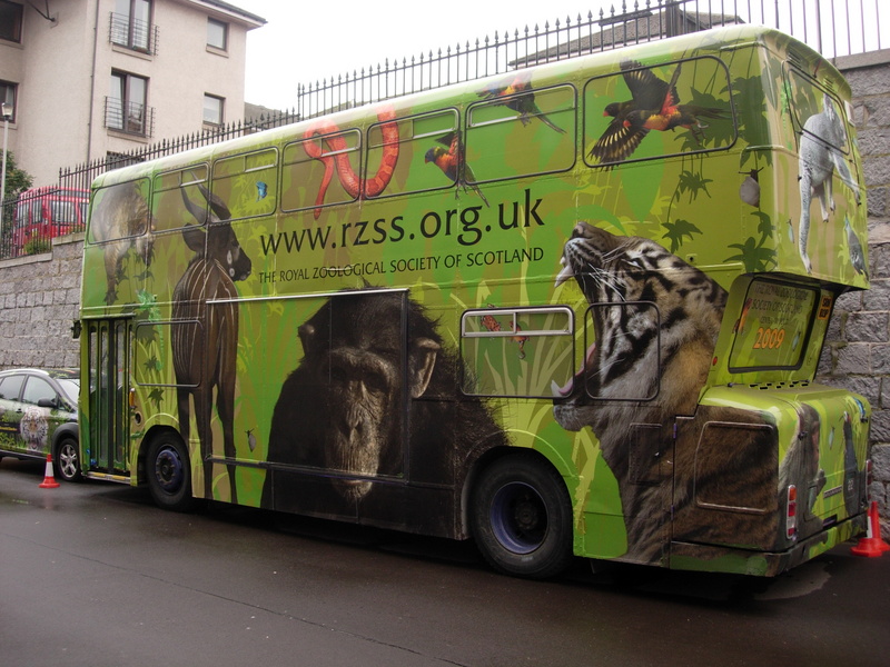 Wild Bus pulls into school | News | The University of Aberdeen