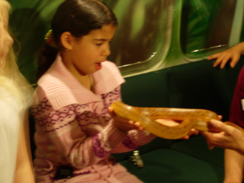 Wild Bus pulls into school | News | The University of Aberdeen